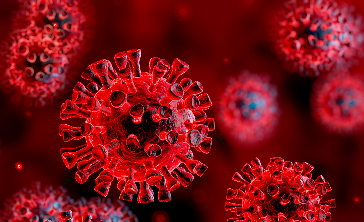 PANDEMIC - COVID-19 timeline