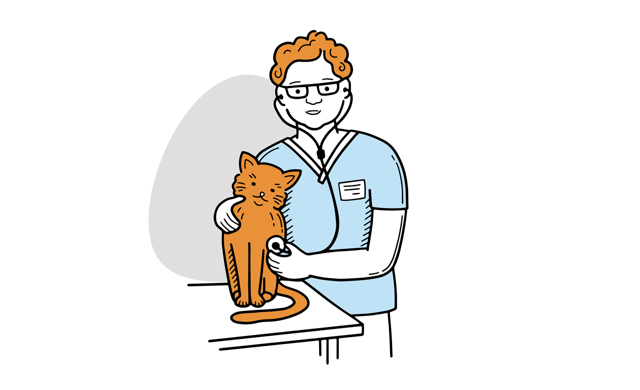 Researchers identify high-risk medications and errors in veterinary care