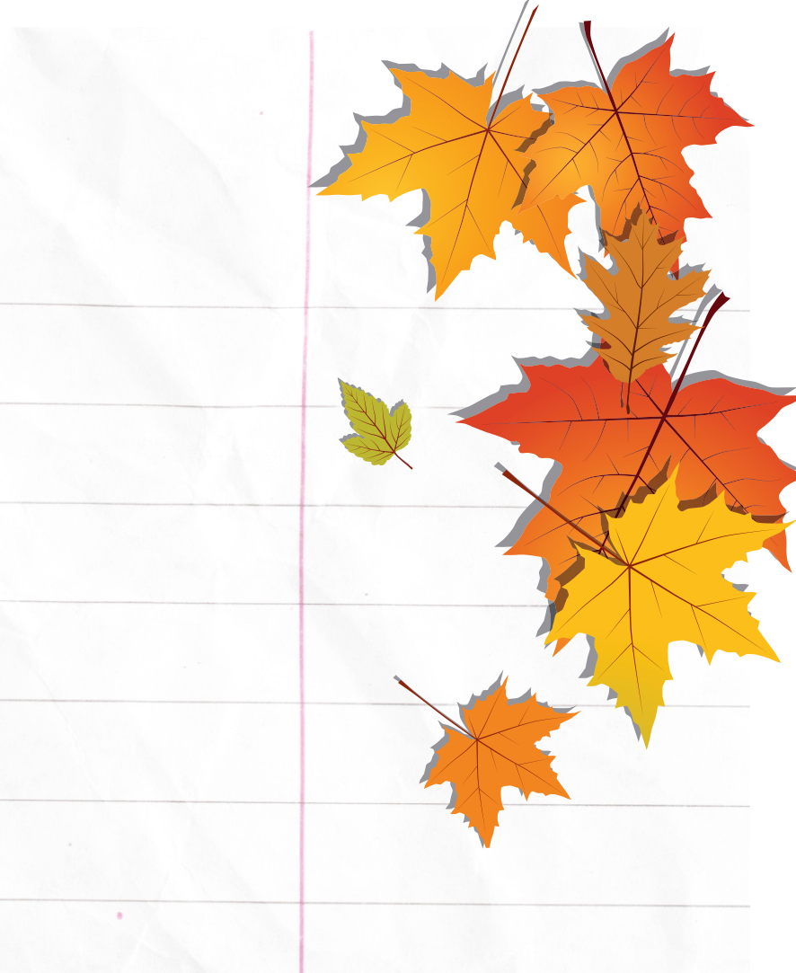 Learning to be a sponge